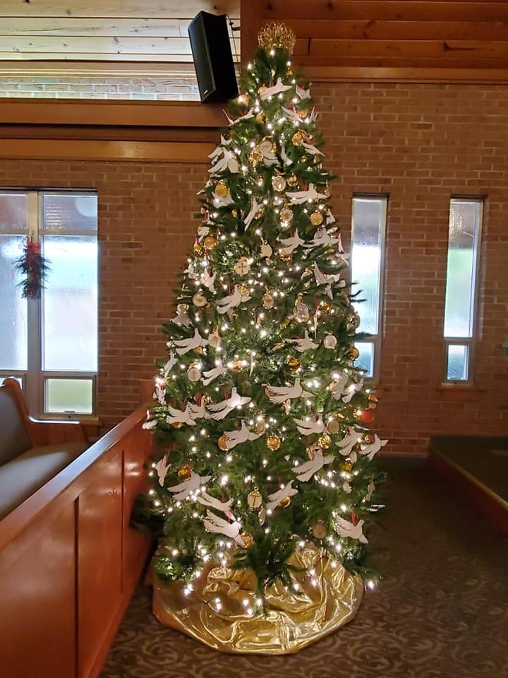 The Perfect Tree | Gloucester Point Baptist Church