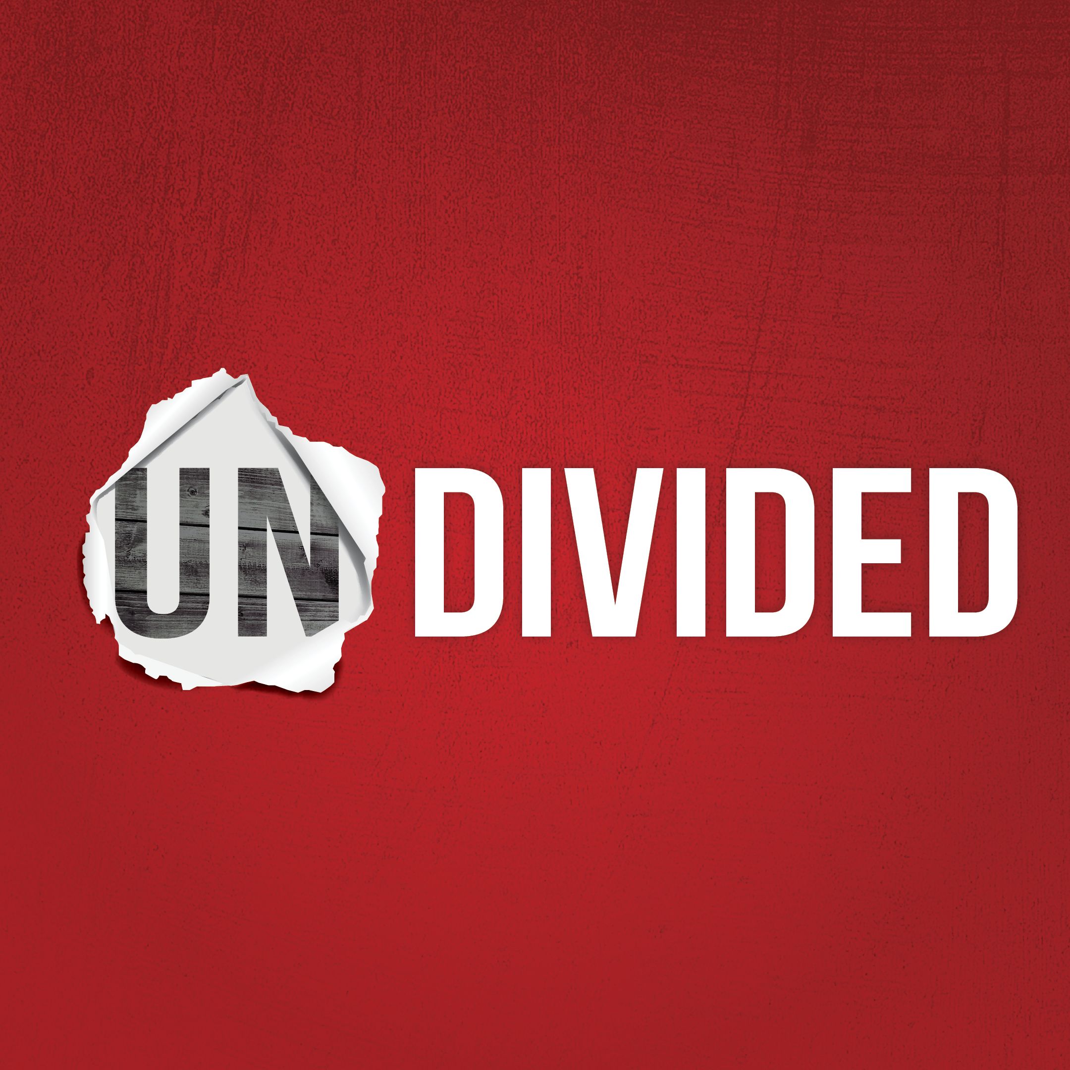 Undivided - Our Fall Learning Series | Living Word
