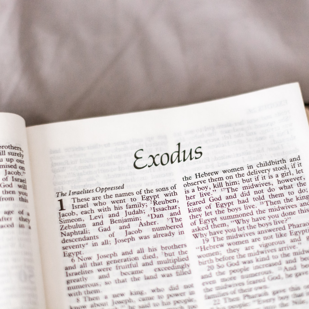 Exodus Bible Study | Christchurch Newport