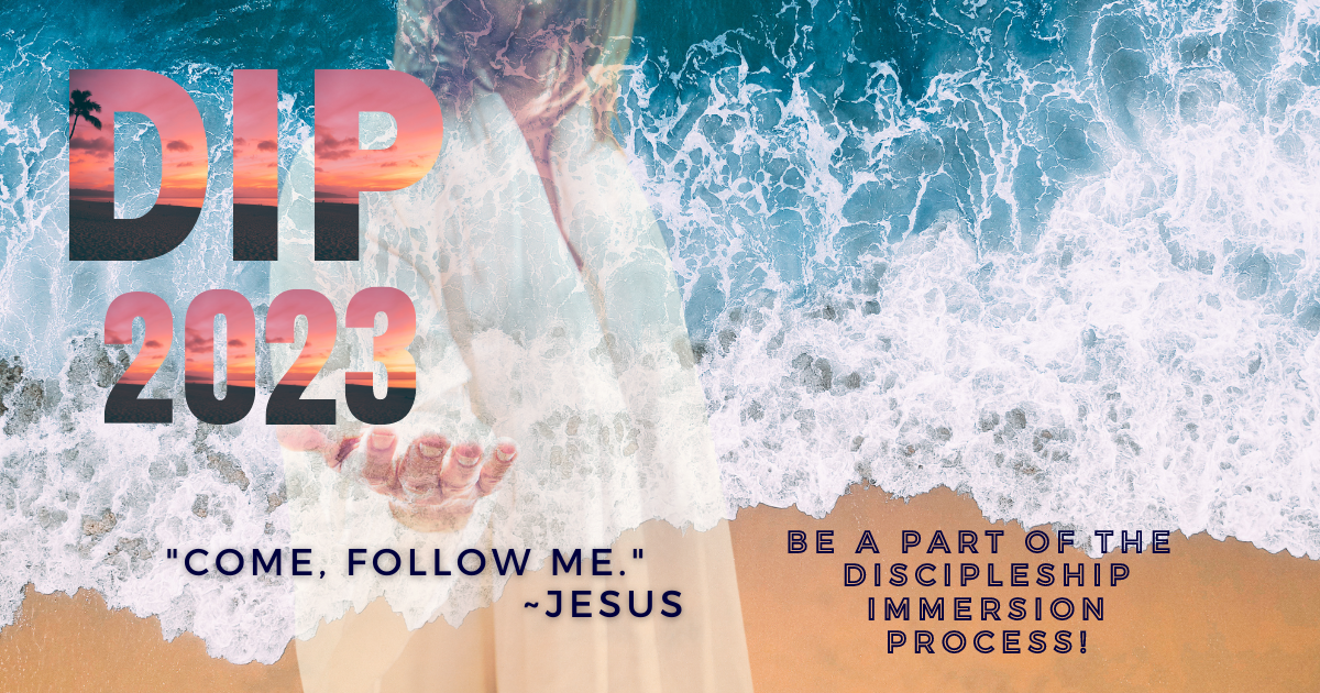 Discipleship Immersion Process General Resource Page | St. Vincent de ...