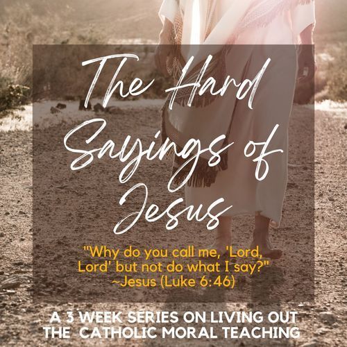 DIP "Hard Sayings of Jesus" - Part 1 RESOURCES | St. Vincent de Paul ...