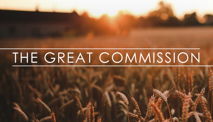 The Great Commission | United Methodist Church of Livonia