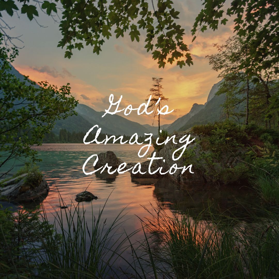 God's Amazing Creation | Zanesville First Church of the Nazarene