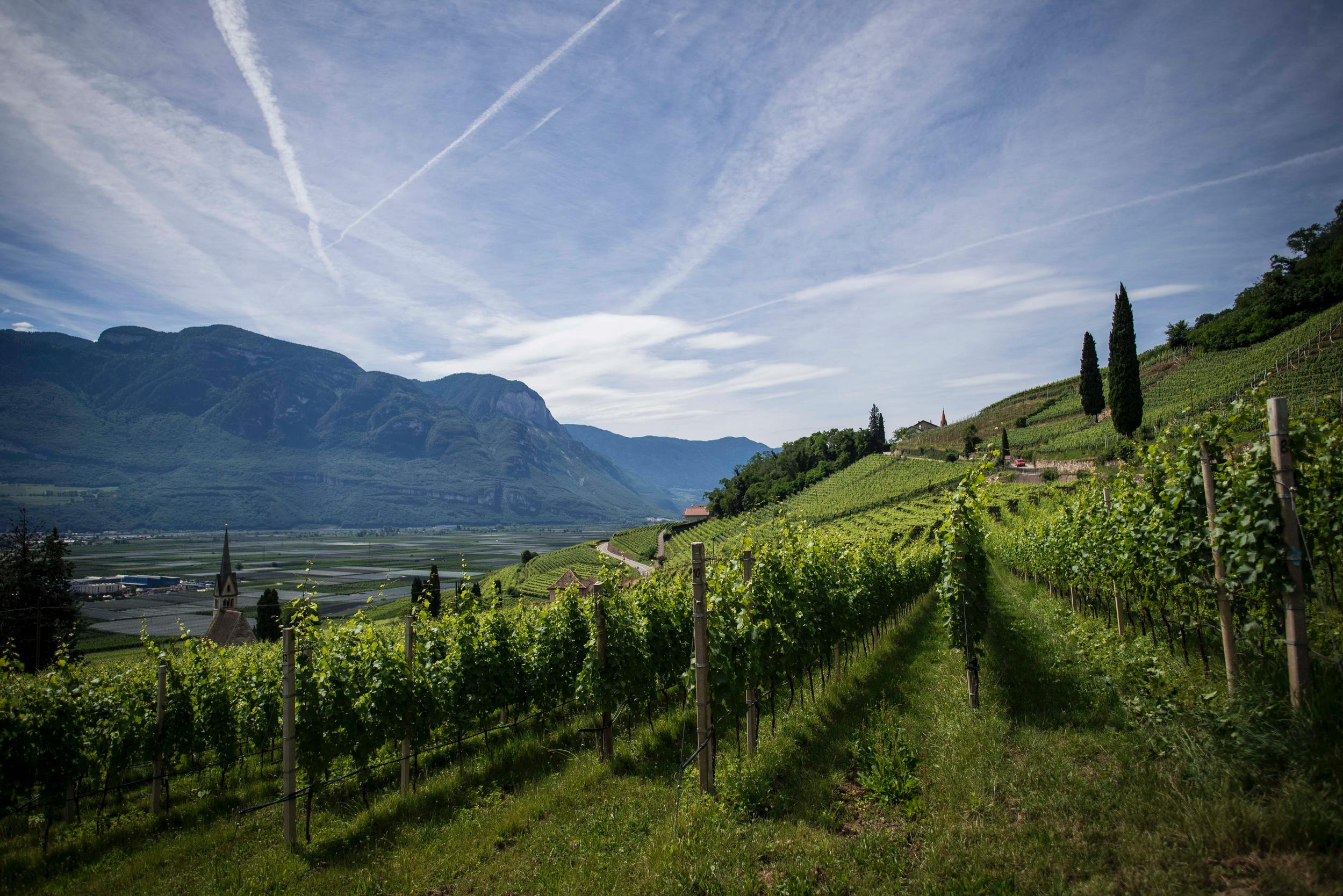 An Ancient Lesson: New Wine, Old Wineskins | The New Frontier