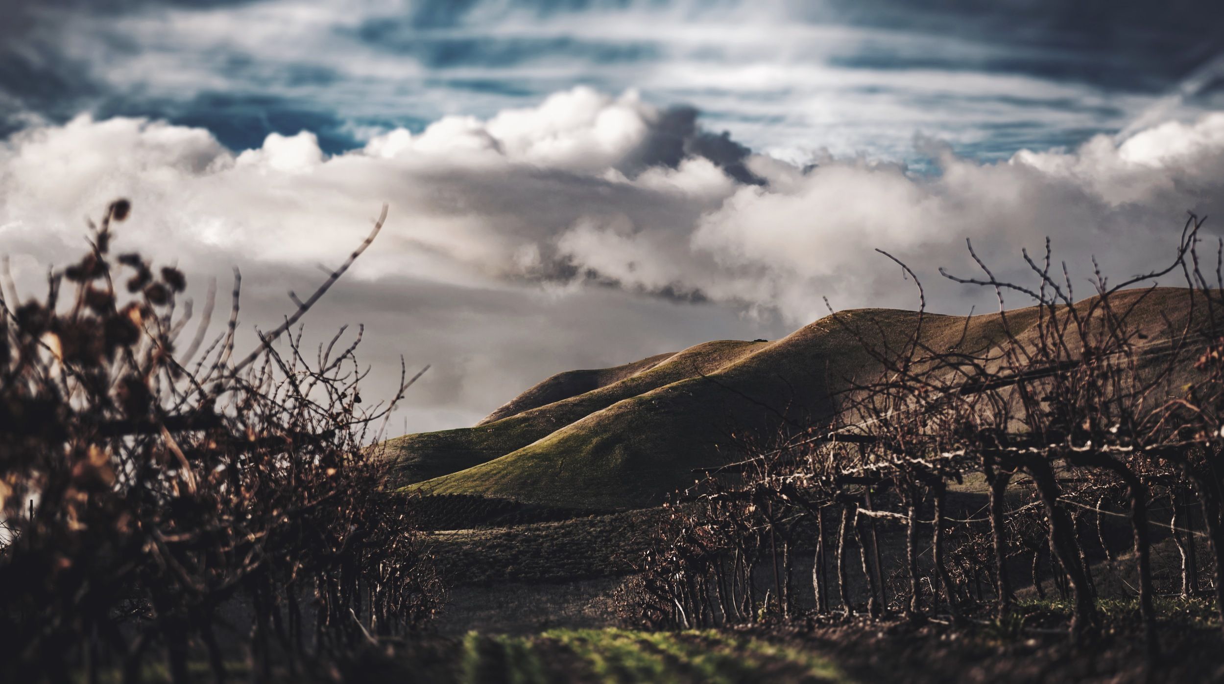 New Wine, Old Wineskins | The New Frontier