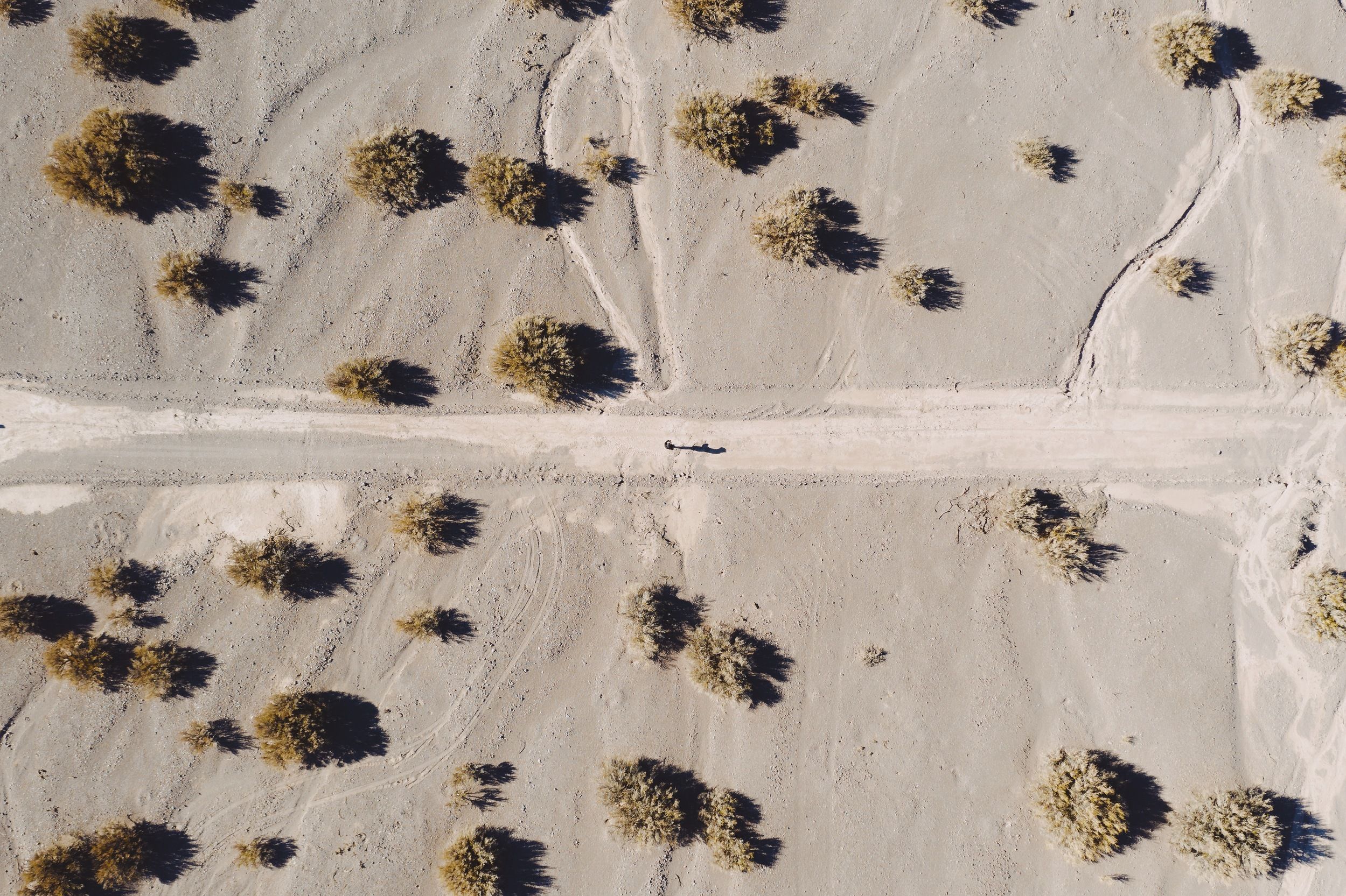 The "Hard Soil" Path | The New Frontier