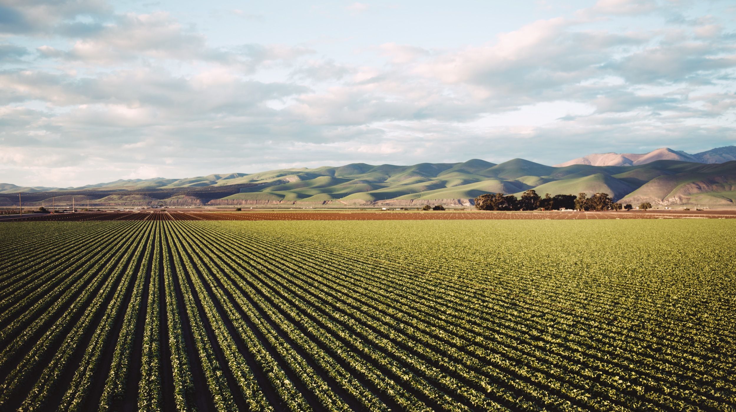 The "Good Soil" Path | The New Frontier