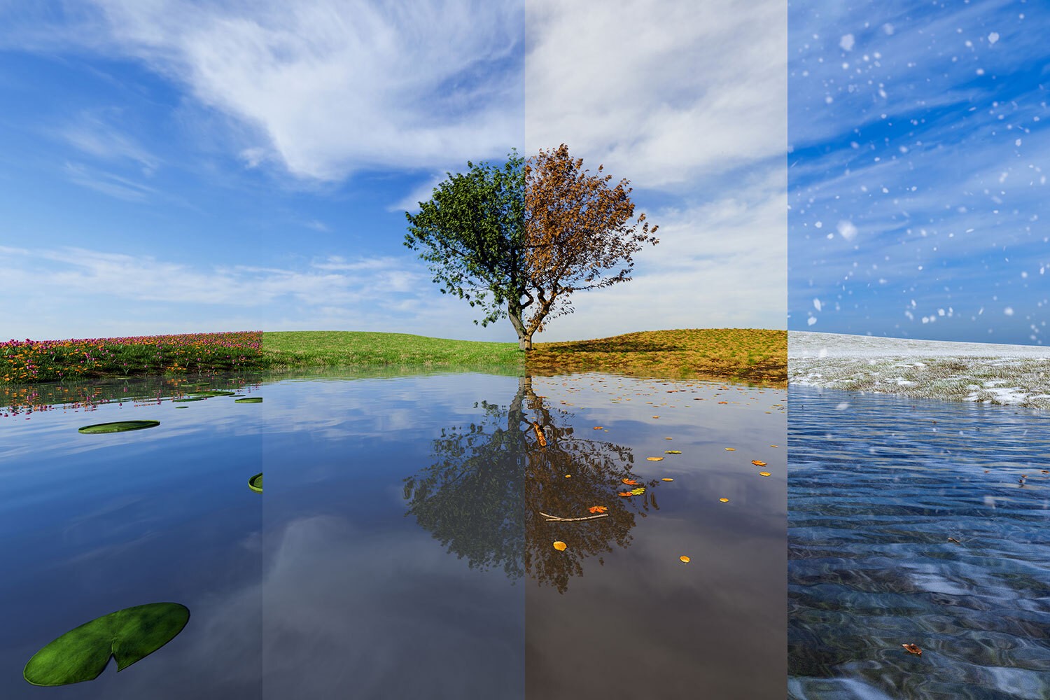 Seasons in Life | CLB