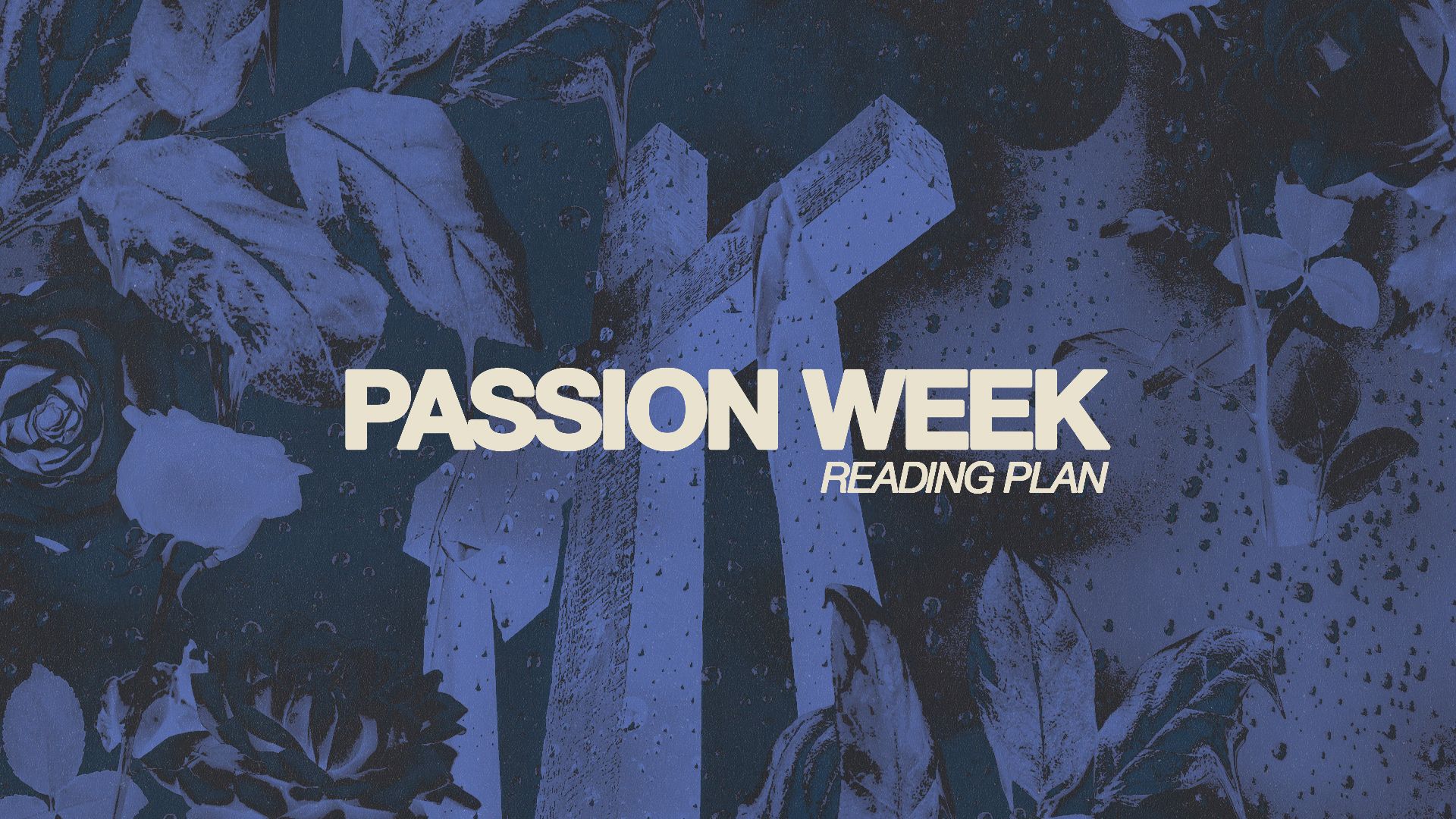 Easter Launch | Compassion Christian Church