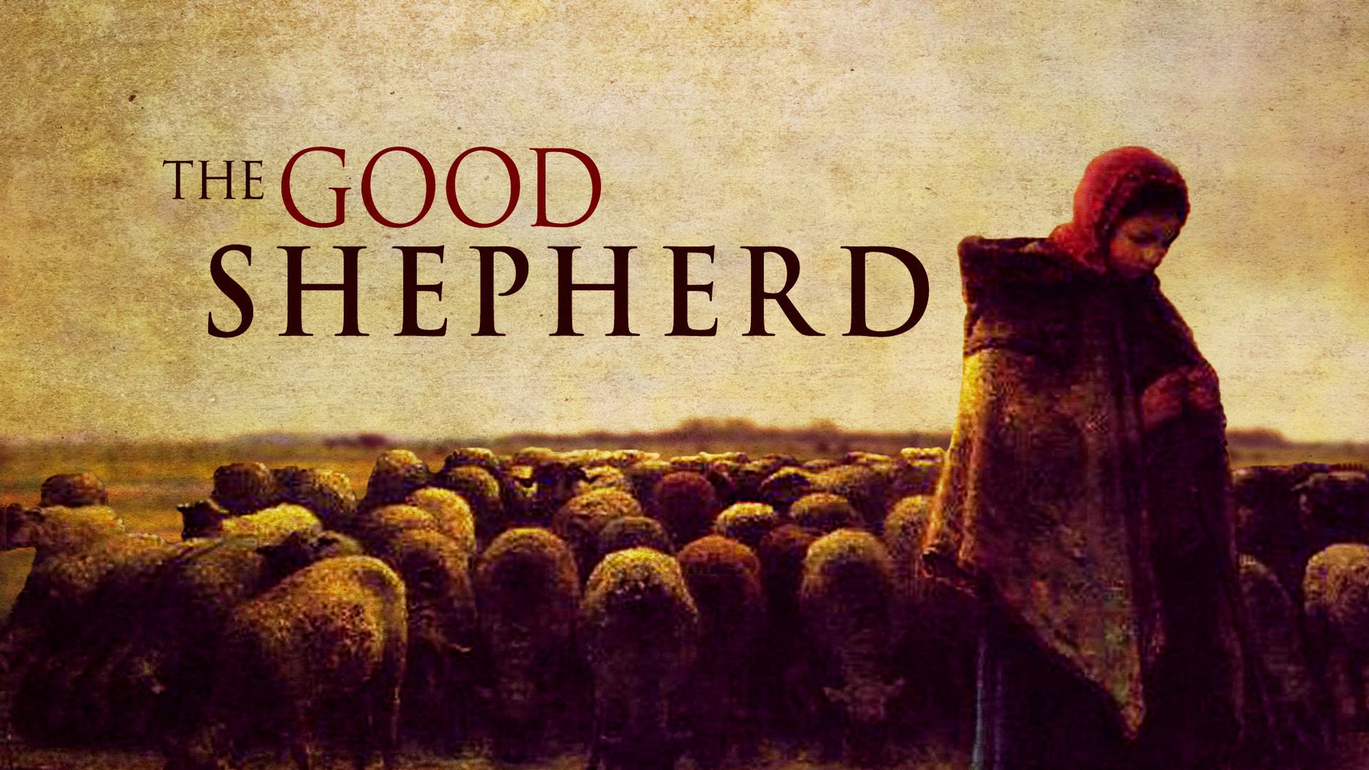 The Good Shepherd | Westside Church of Christ