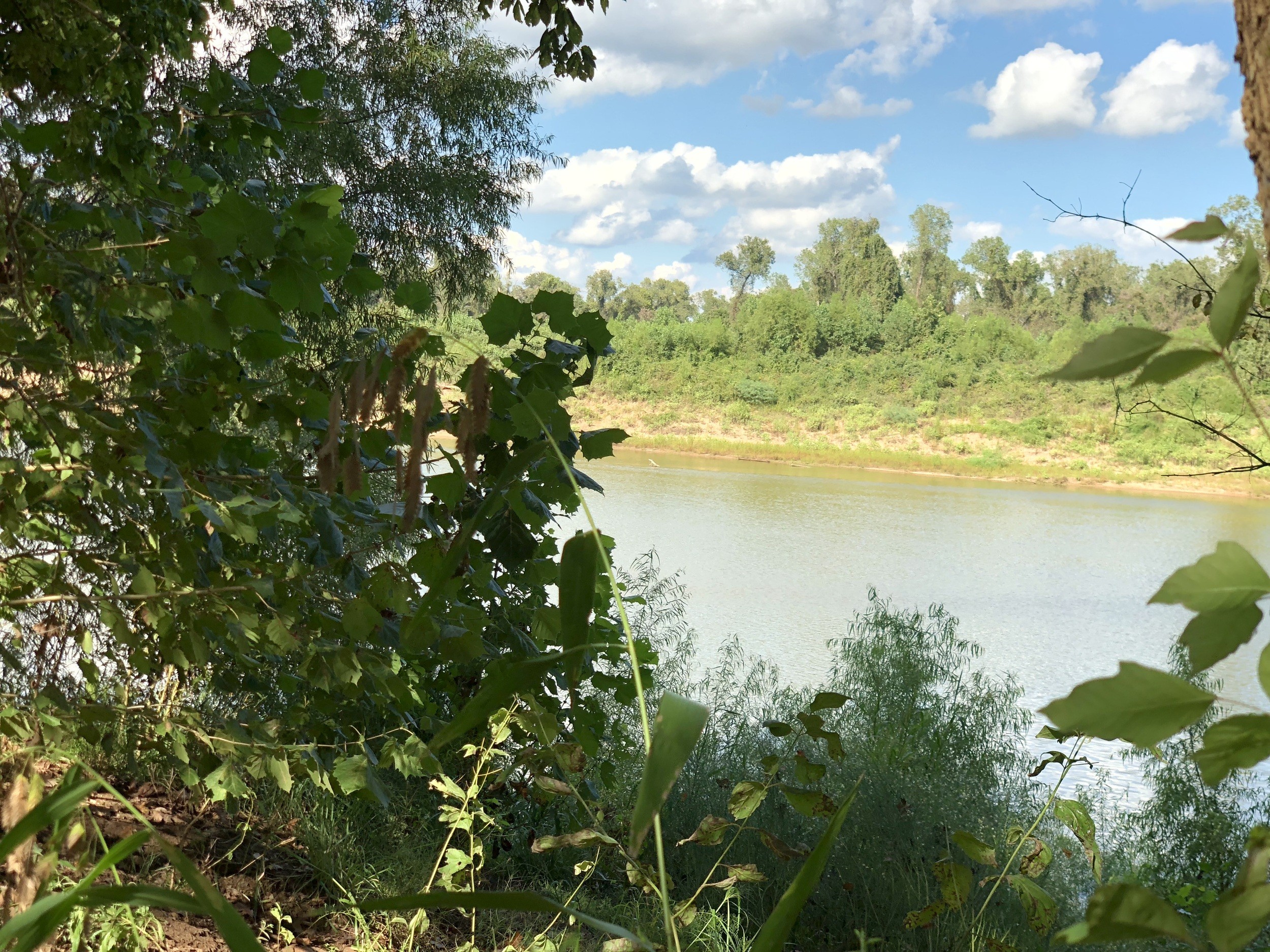 Pursuit of Purity | Good News Baptist Church of Greater Houston