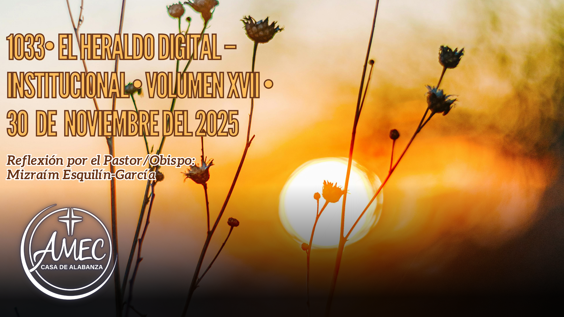 1033 • El Heraldo Digital – Institucional • Volumen XVII • 30 de ...