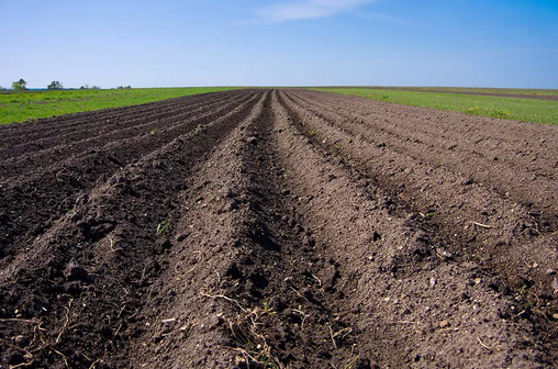 Hands on the Plow, Eyes on the Prize | In the Word - Learning and ...