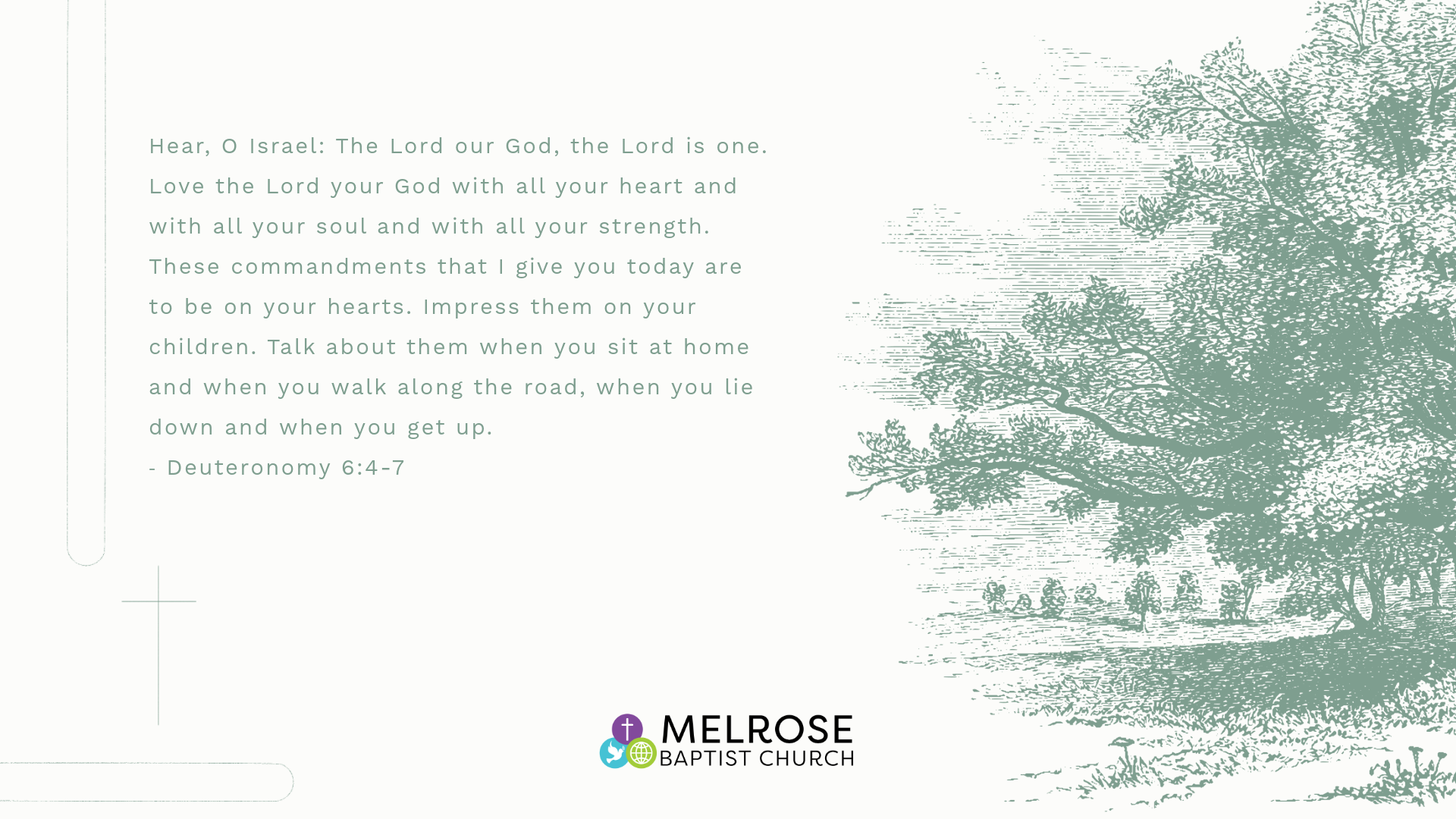 Bulletin for Sunday, June 8 | Melrose Baptist Church