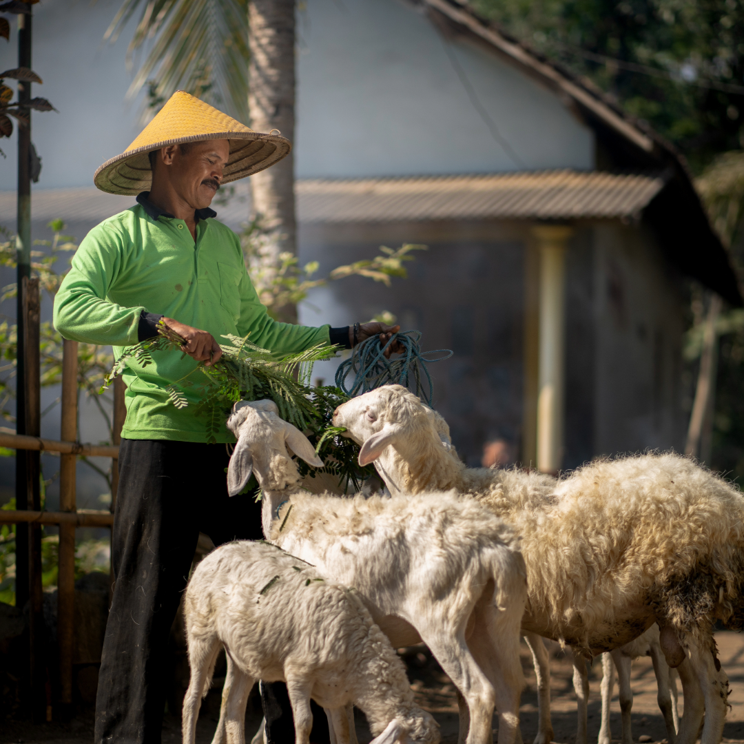 Shepherd Leaders | New City Fellowship