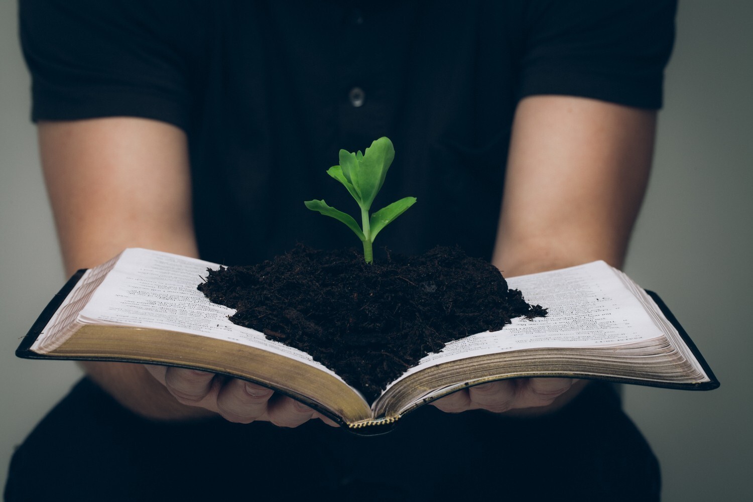 Discipleship as We Go: Learning From Jesus’ Everyday Discipleship Model ...