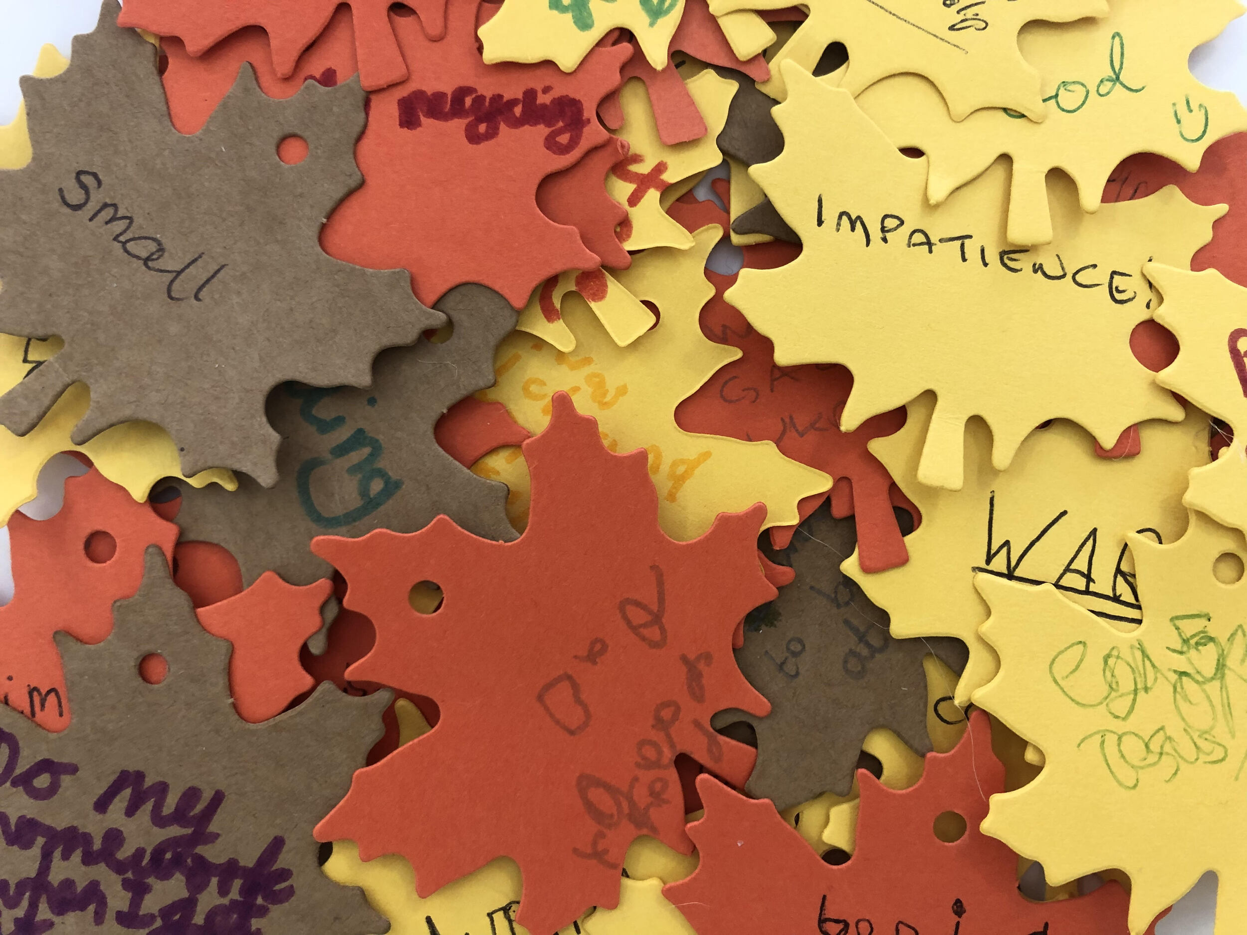 Parade Service | Step