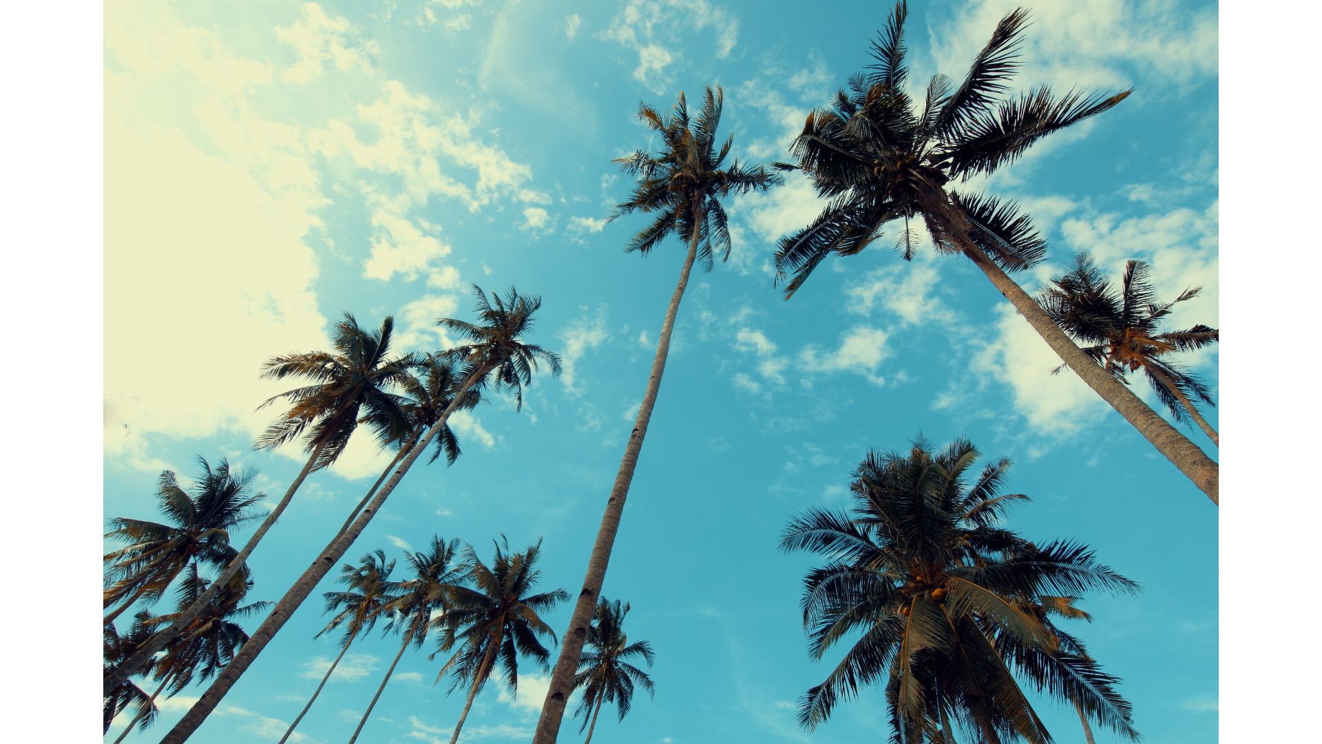 Bulletin August 10 | Mentone Seventh-Day Adventist Church