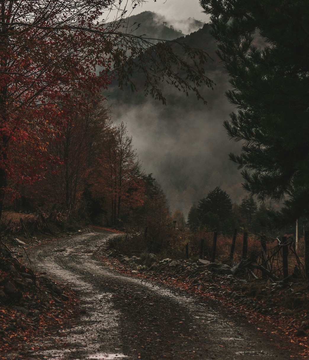 Fortifying Love: Wisdom, Purity, and Freedom in Relationships | New ...