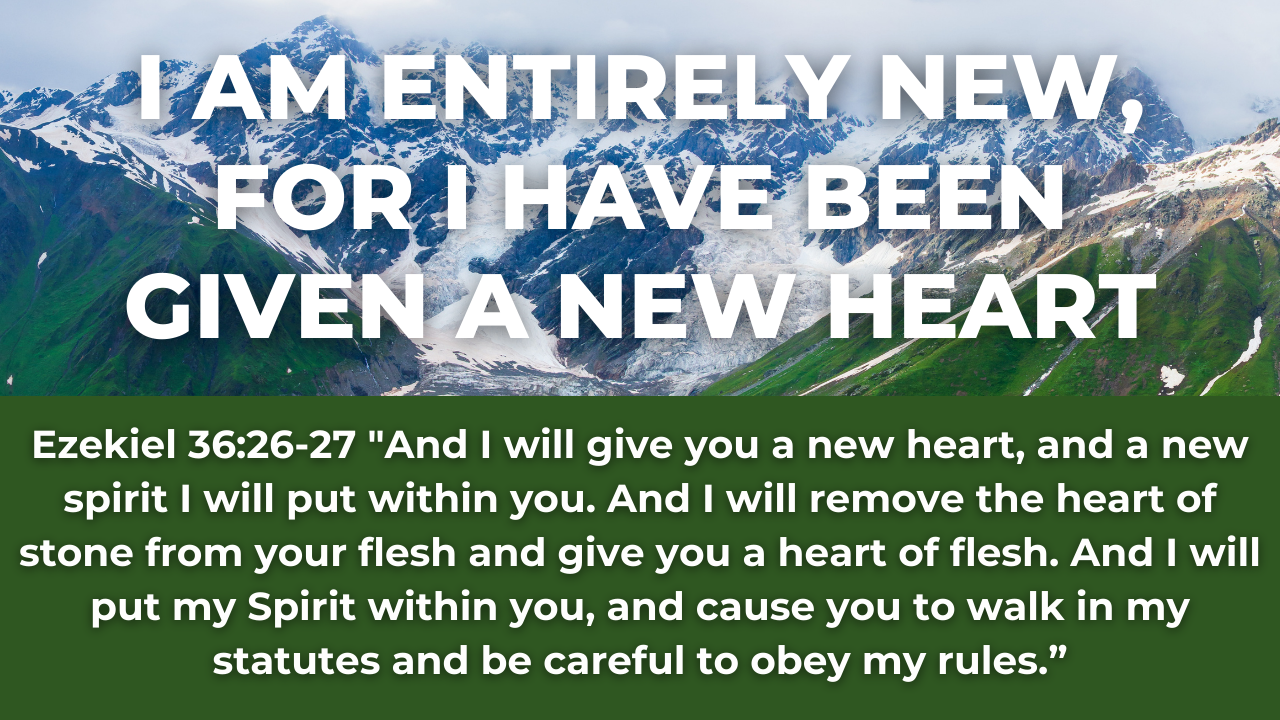 30 Day Challenge Day 23: I Am Entirely New, For I Have Been Given A New ...