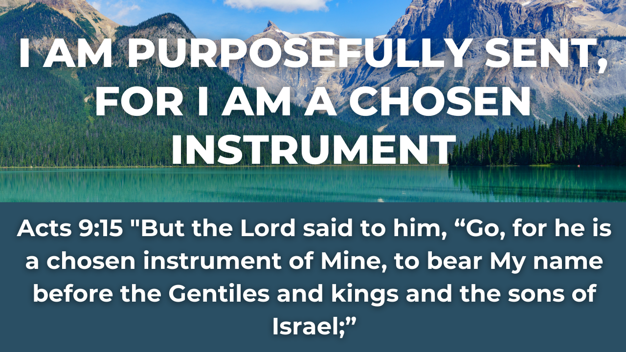 30 Day Challenge Day 29: I Am Purposefully Sent, For I Am A Chosen ...
