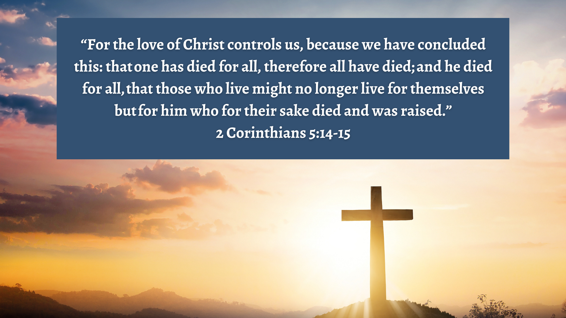 What Controls You? | Bible Study Media
