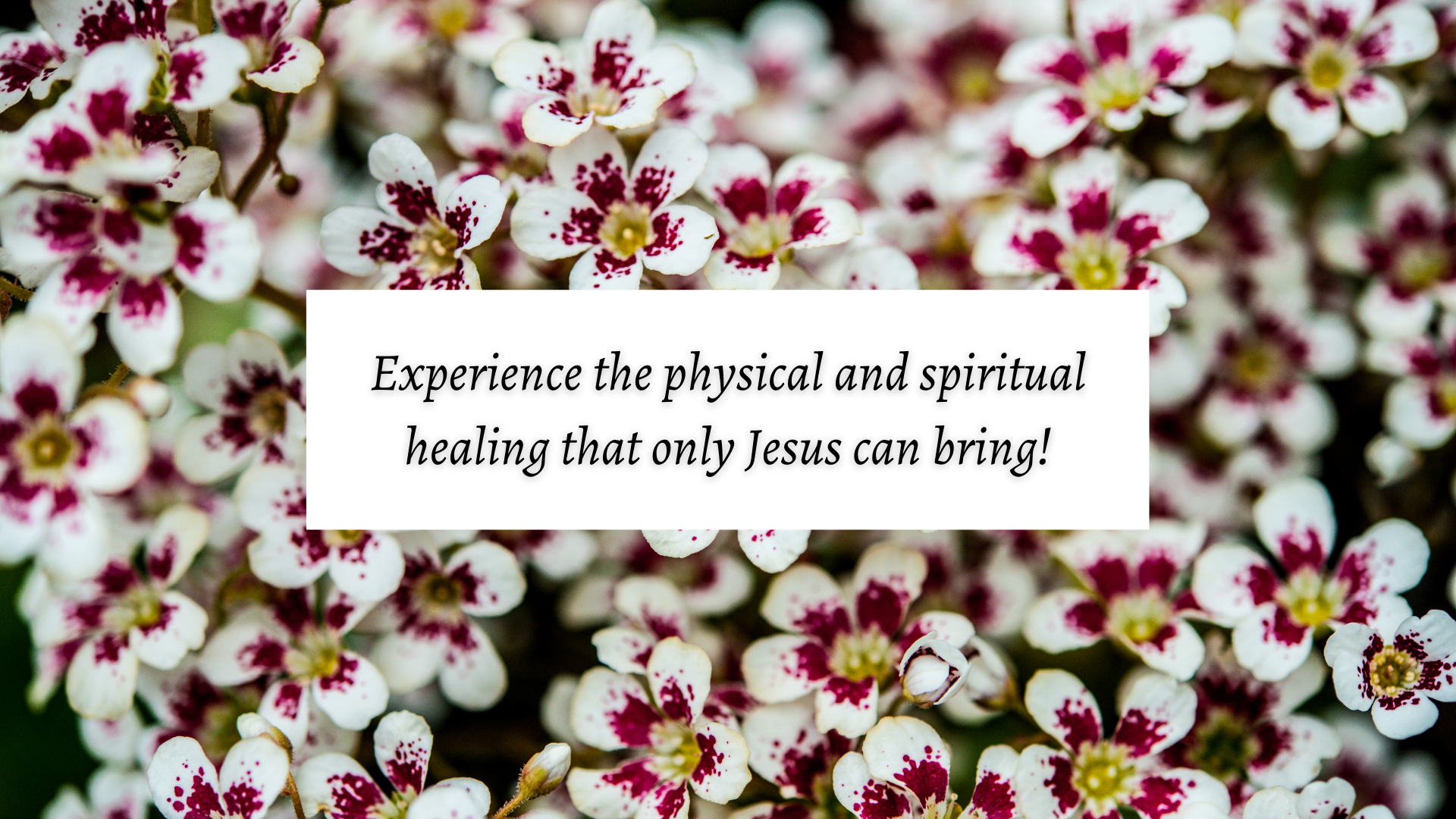 Jesus Longs to Heal His People | Bible Study Media