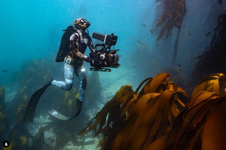 10 Underwater Photography Tips for Biginner Divers | DAN Southern Africa