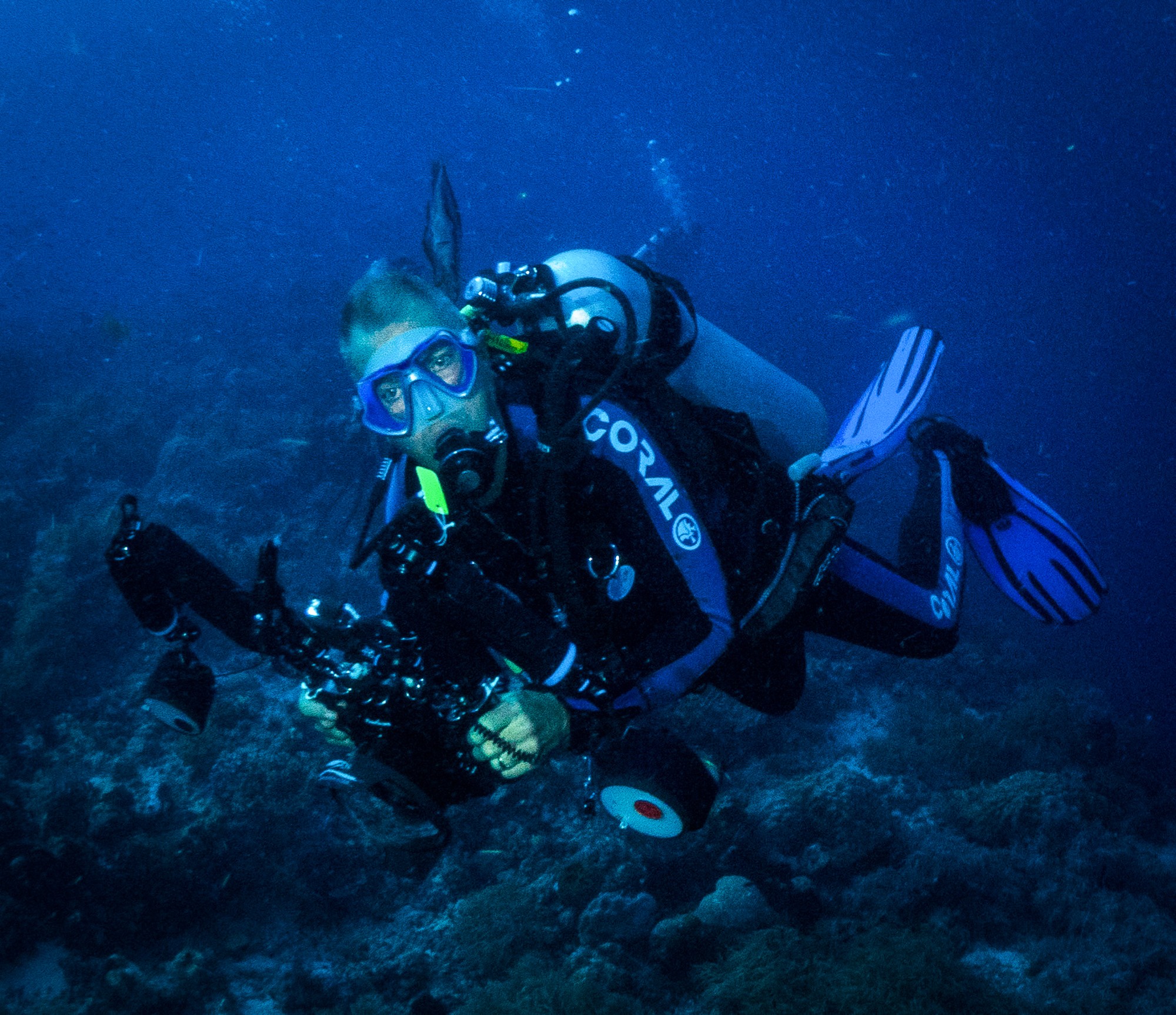 Underwater Photographer: Hilmar Lückhoff | DAN Southern Africa