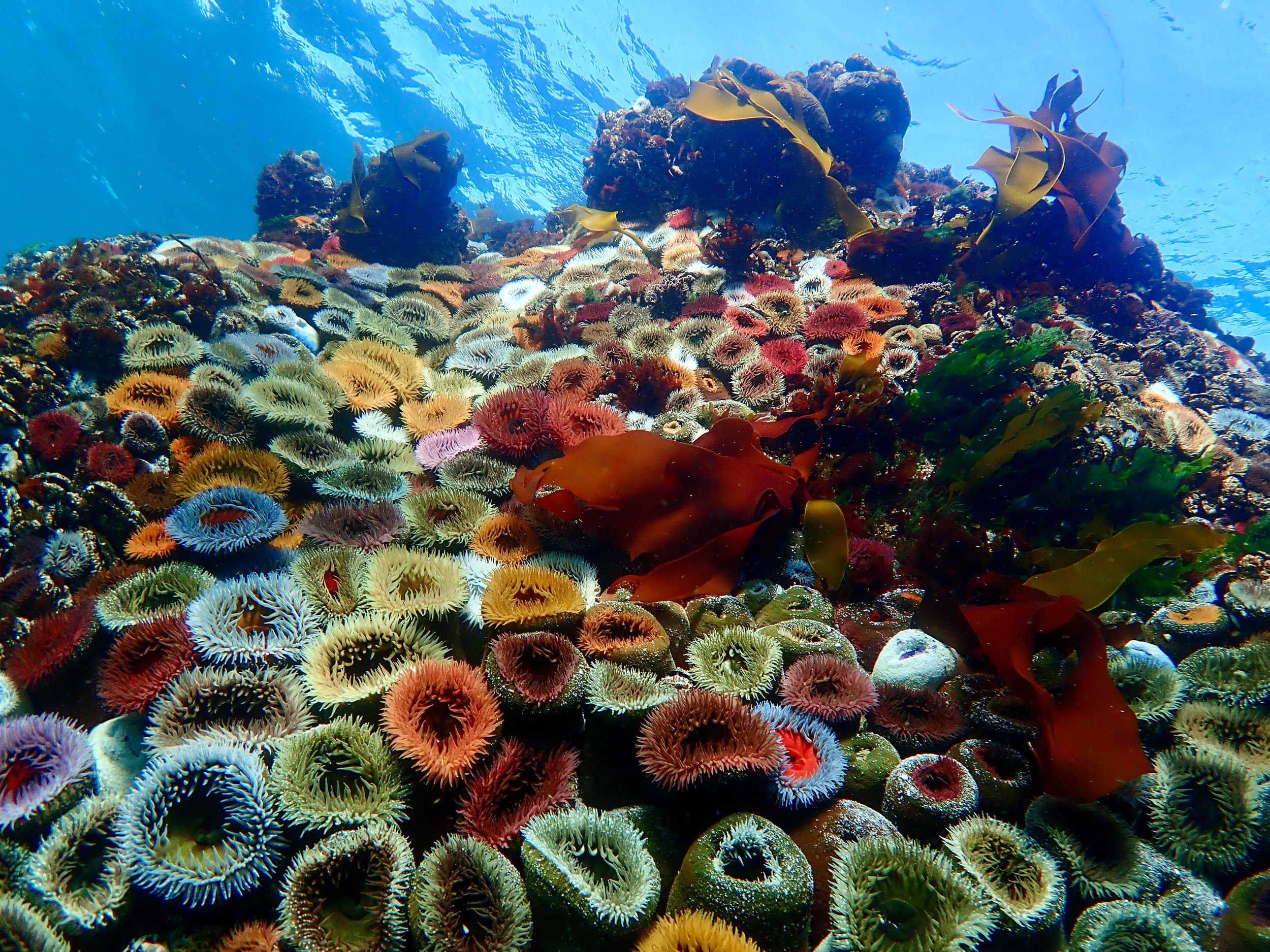 Adventure Auntie: Yvette Oosthuizen | DAN Southern Africa