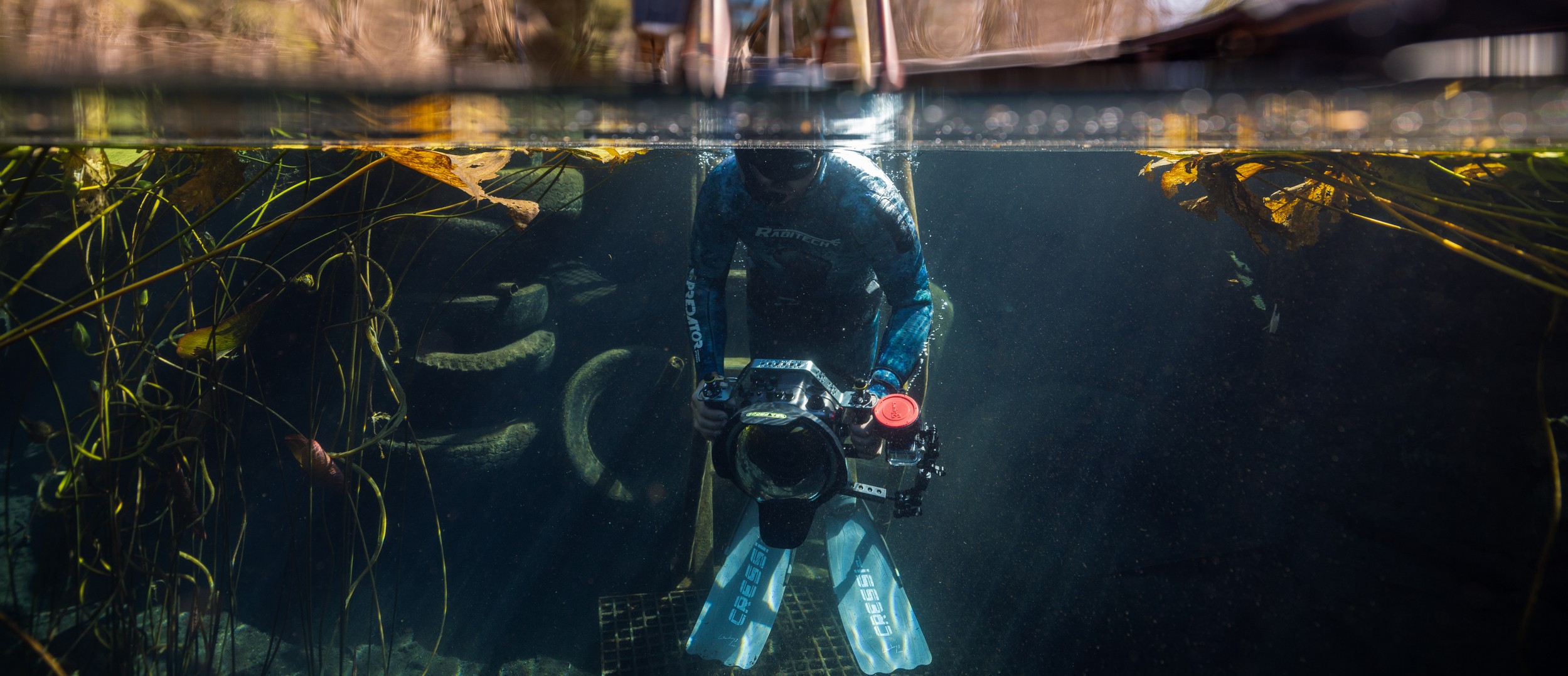 Diving Deep with DSLR | DAN Southern Africa
