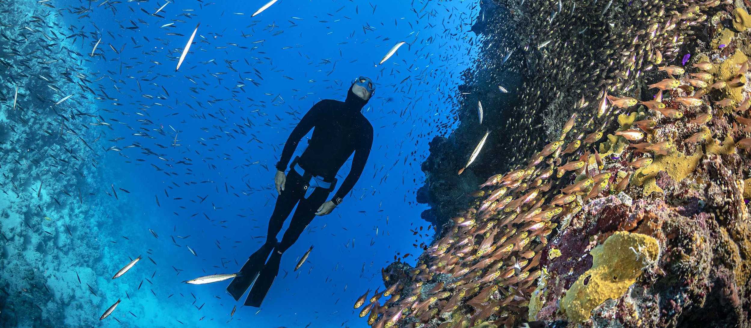 Understanding The Secrets of Deep Freediving: Tips from Three National ...