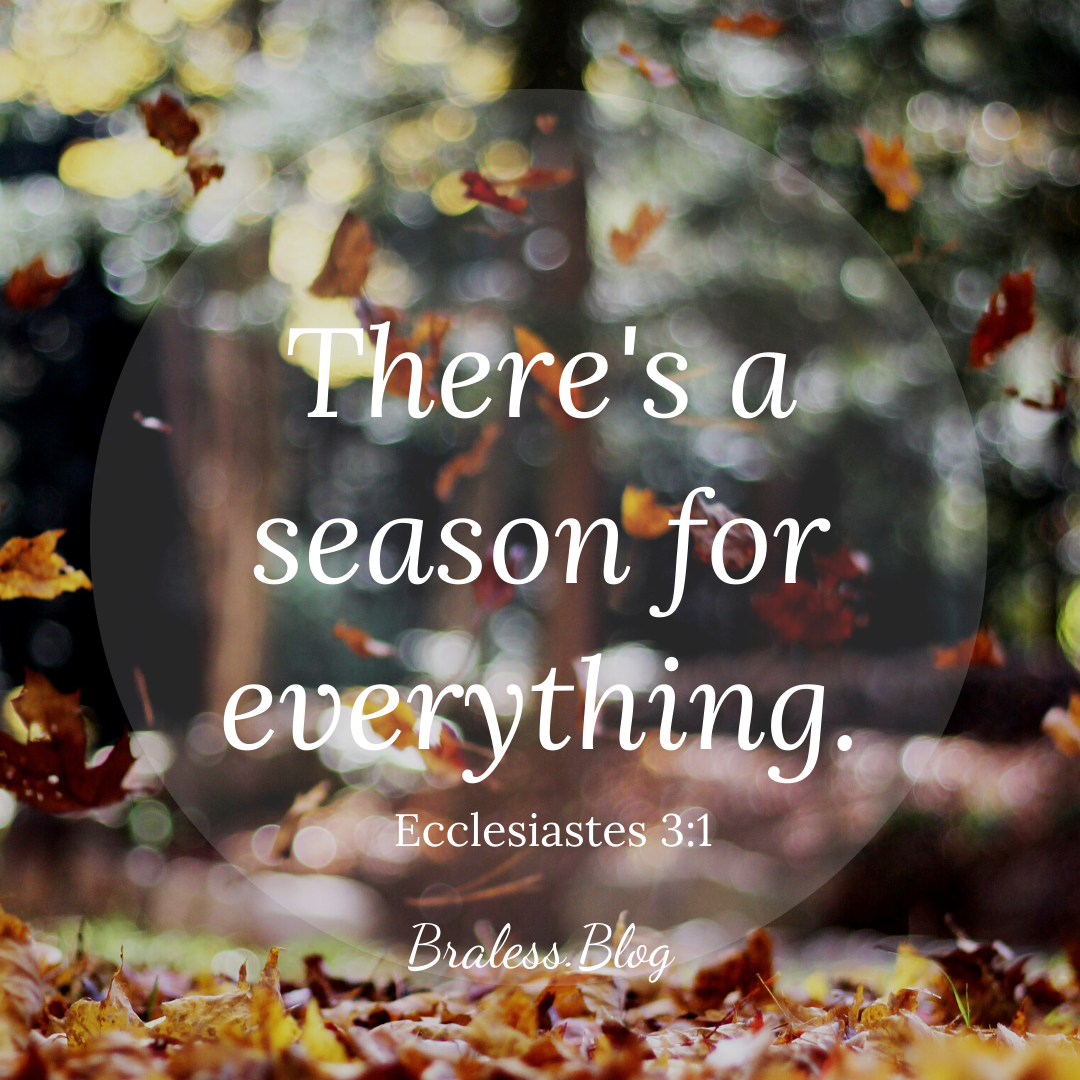 \'Tis the Season | Victoria Archer