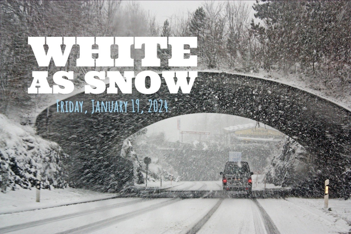 White As Snow | RayPara